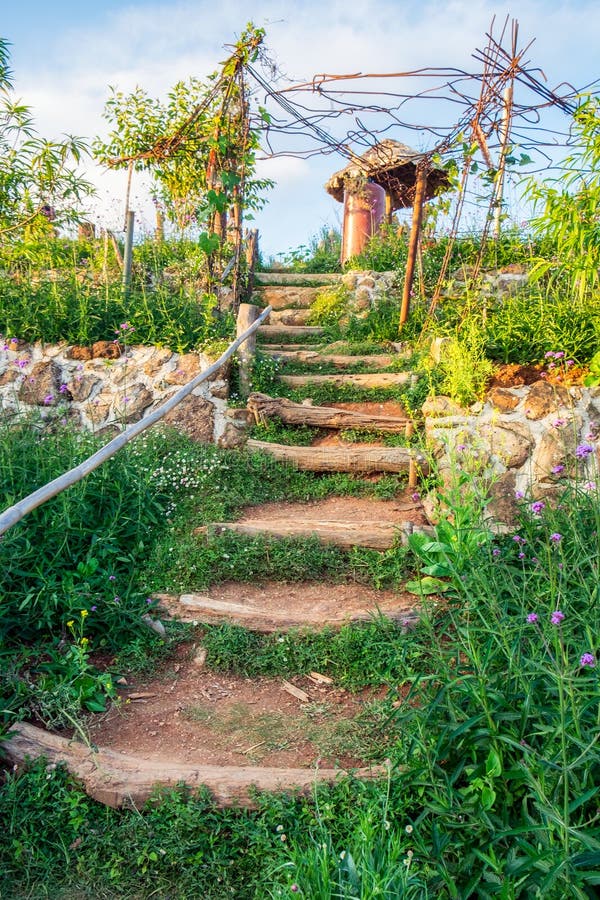 Walkway Stair Natural Decorative in Garden Stock Photo - Image of ...