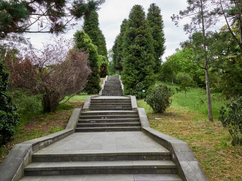 Path with Steps in the Green Town Park Stock Photo - Image of steps ...