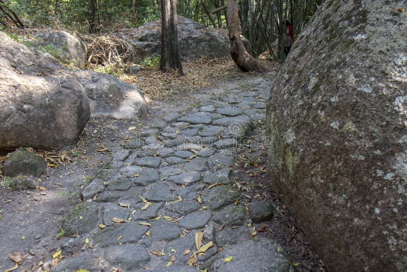 Walkway Stone Path in Forest by Vegetation Stock Image - Image of ...