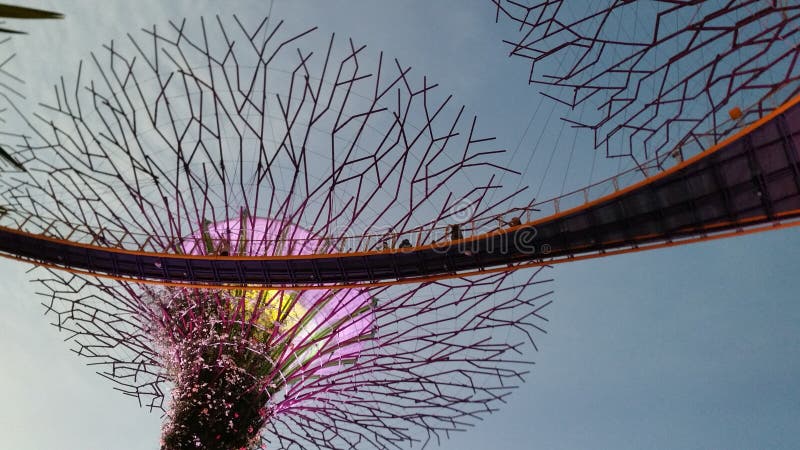 Walkway and Supertrees Gardens by the Bay Editorial Stock Image - Image ...