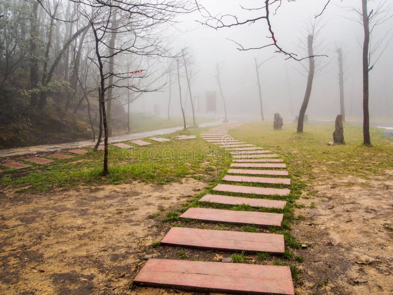 Walkway in the Thick Fog and Low Light Stock Photo - Image of path ...