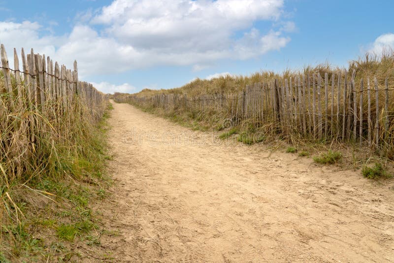 Walkway To the Beach by the Sea Stock Image - Image of grass ...