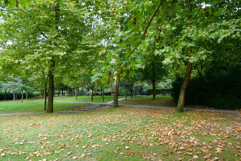 Walkway among the Trees in the Park Stock Photo - Image of leaf ...