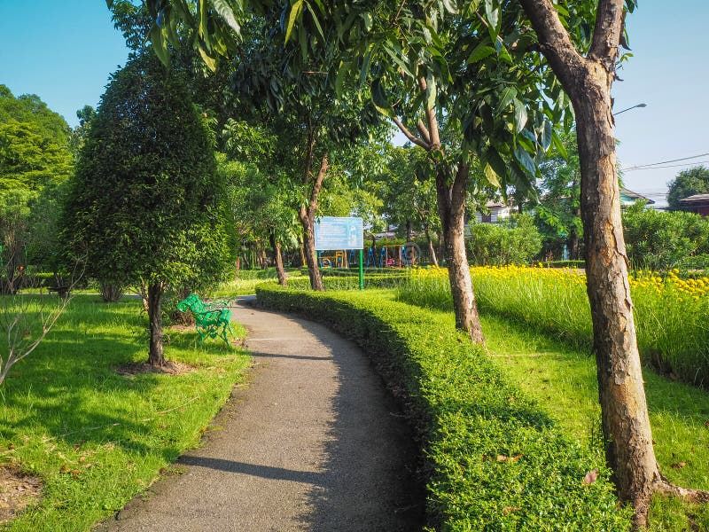Walkway with trees stock image. Image of outdoor, place - 122176847