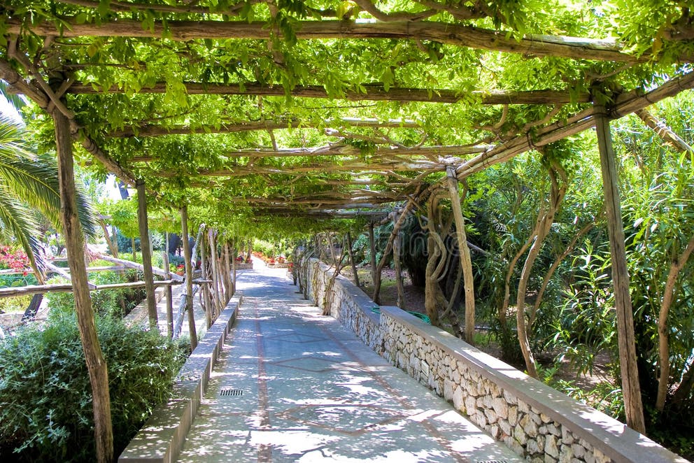 Walkway Under Arbor stock image. Image of trail, vines - 11256365