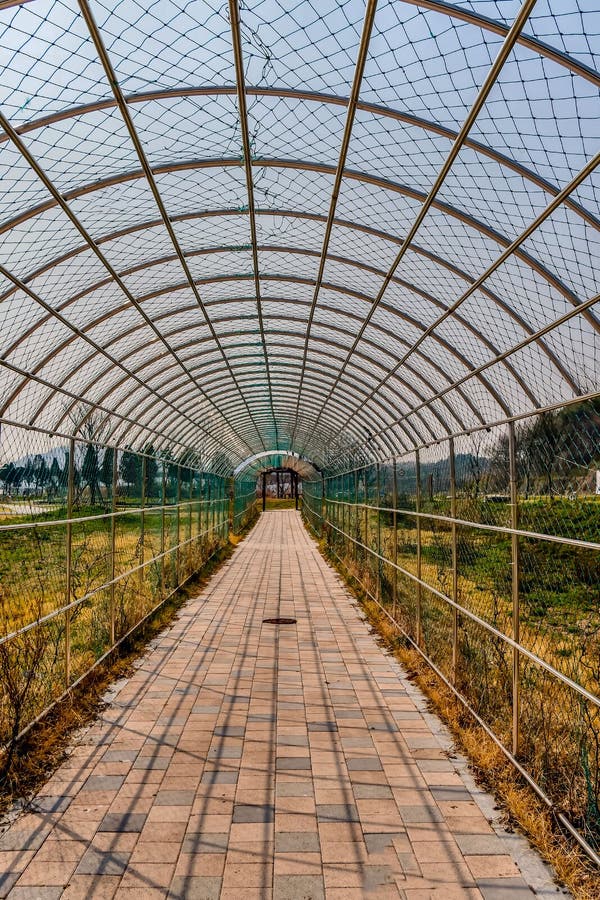 Walkway Under Arched Wire Mesh Stock Photo - Image of nature, landscape ...