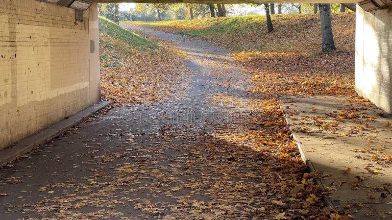 A Walkway Under the Bridge in the Park Stock Photo - Image of tree ...