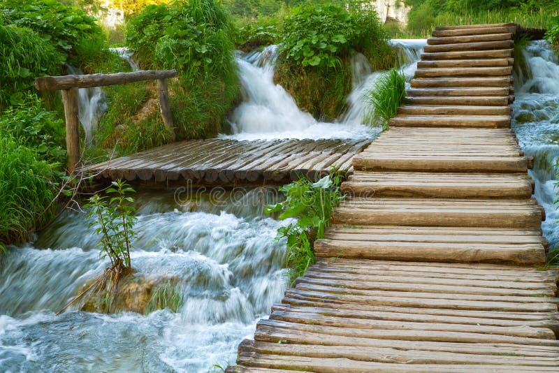 Walkway through waterfall. stock photo. Image of waterfall - 20383934
