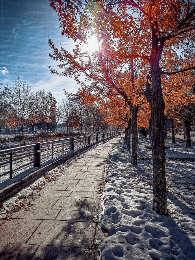 Walkway winter in fall stock image. Image of fall, walkway - 164779555