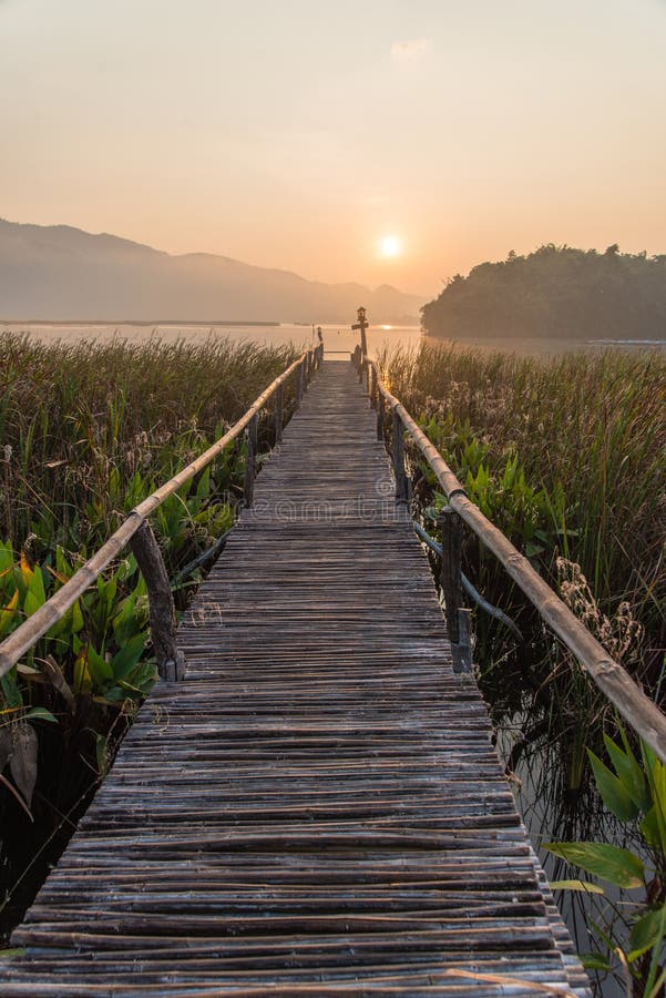 Walkway Wood Texture a Natural Stock Image - Image of environment ...