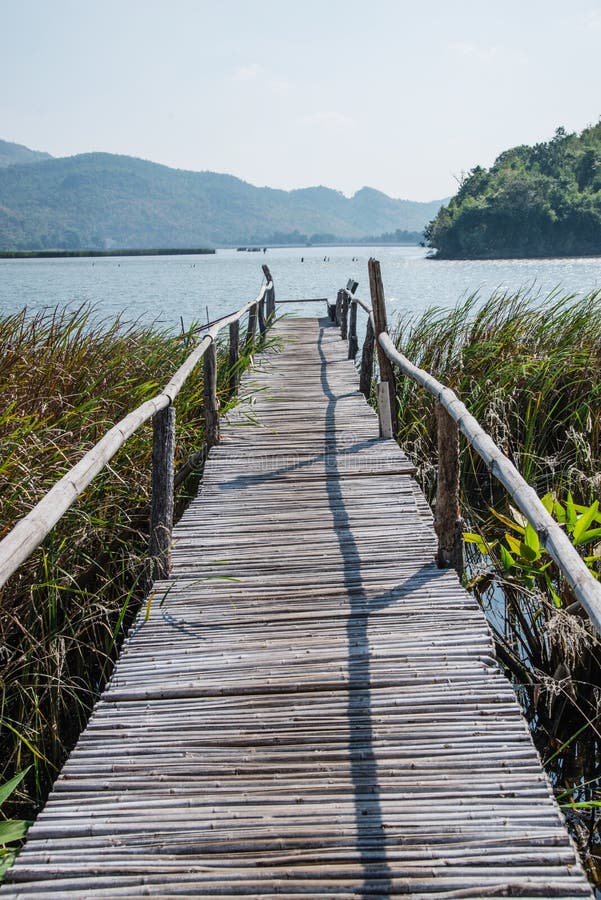 Walkway Wood Texture a Natural Stock Image - Image of outdoors ...