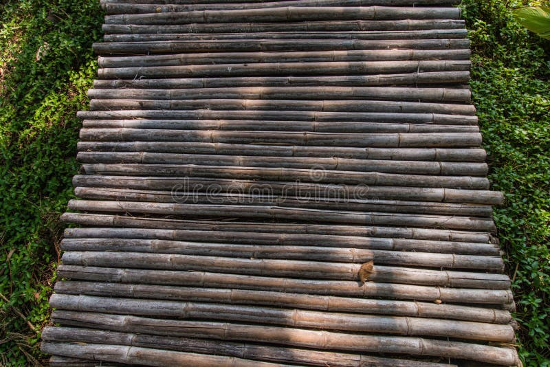 Walkway Wood Texture a Natural Stock Photo - Image of green, boardwalk ...