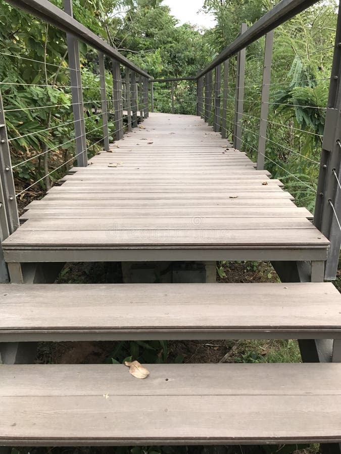 Walkway stock photo. Image of wood, outdoor, tree, stair - 83817620