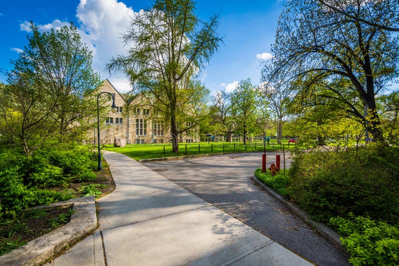 Walkways and Trees at the University of Toronto, in Toronto, Ont Stock ...