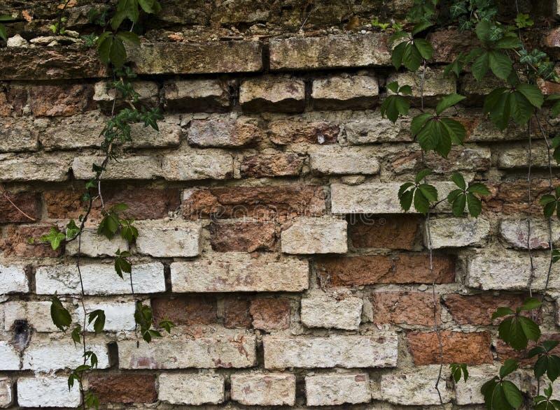 Wall Picture. Image: 10398653