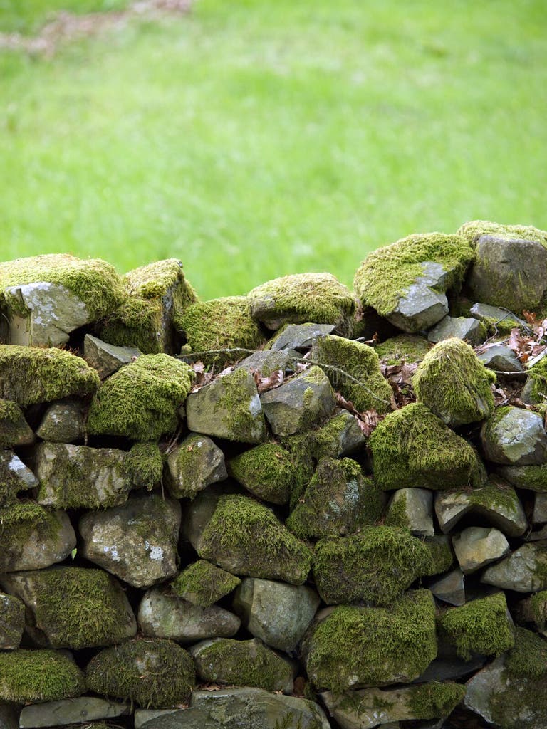 Royalty Free Dry Wall Stock Photos - Free & Royalty-Free Stock Photos ...