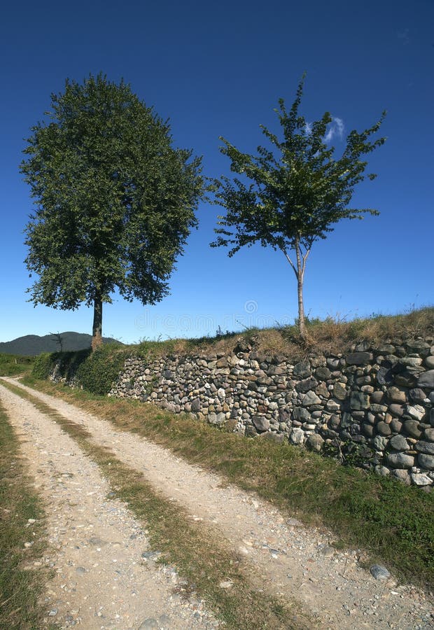 Wall stock image. Image of vineyard, wall, agriculture - 22357877