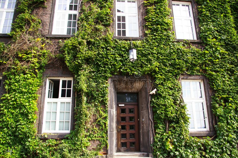 Lush Boston Garden stock image. Image of architecture - 1286417