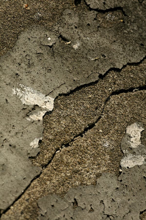 Tripped up stock image. Image of color, pedestrian, human - 30692547