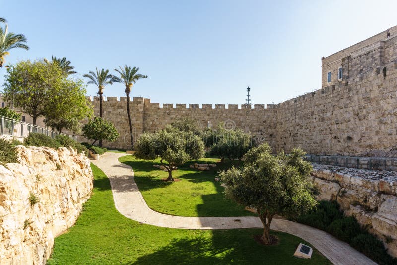 Wall of an Ancient Old Jerusalem City with a Green Palm Trees. Stock ...