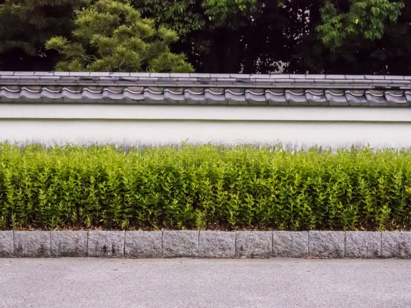 Wall around the house. stock photo. Image of wallpaper - 101256078