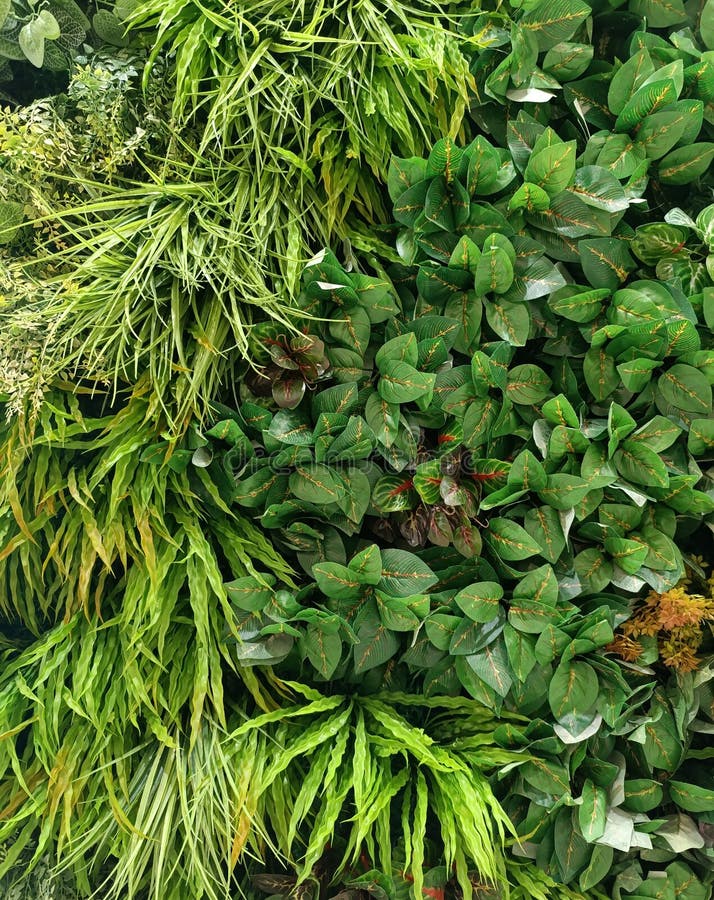 143 Artificial Plants Wall Panel 3d Stock Photos - Free & Royalty-Free ...