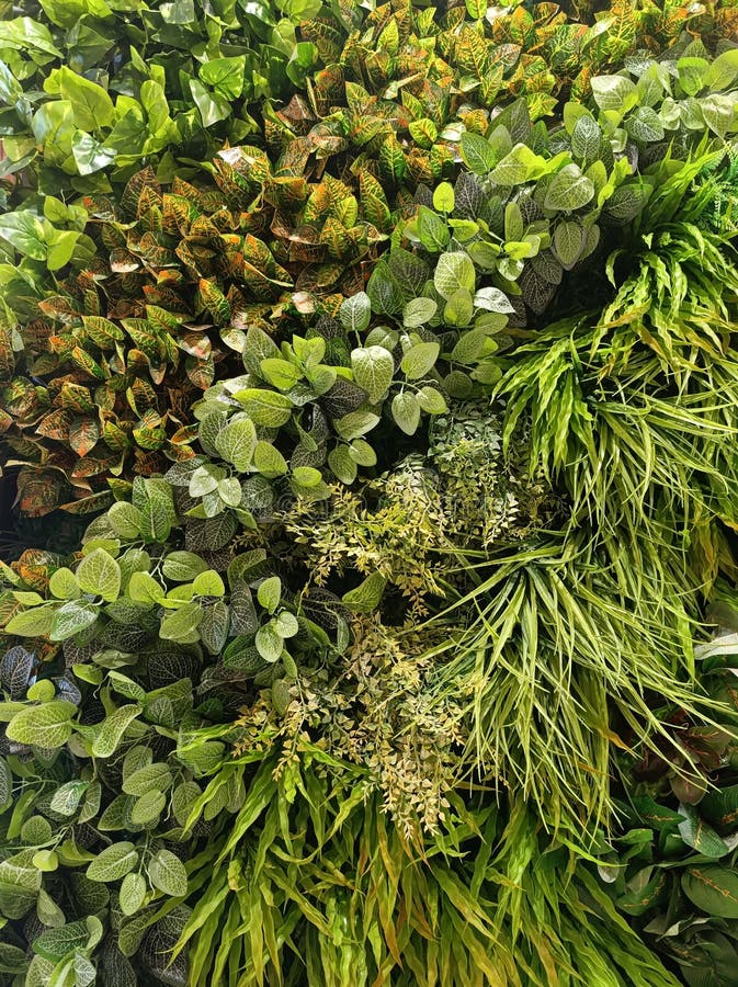 143 Artificial Plants Wall Panel 3d Stock Photos - Free & Royalty-Free ...