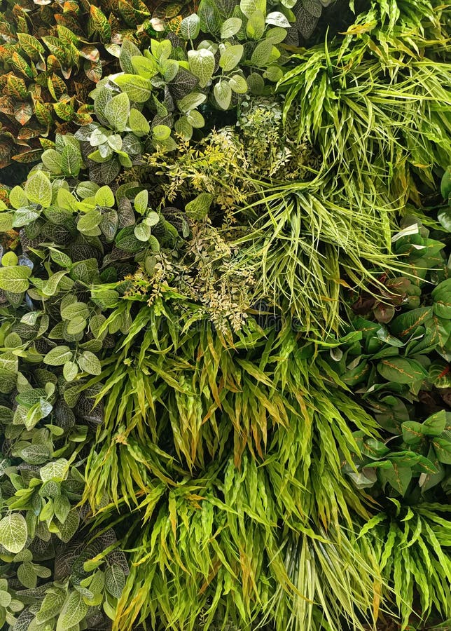 143 Artificial Plants Wall Panel 3d Stock Photos - Free & Royalty-Free ...