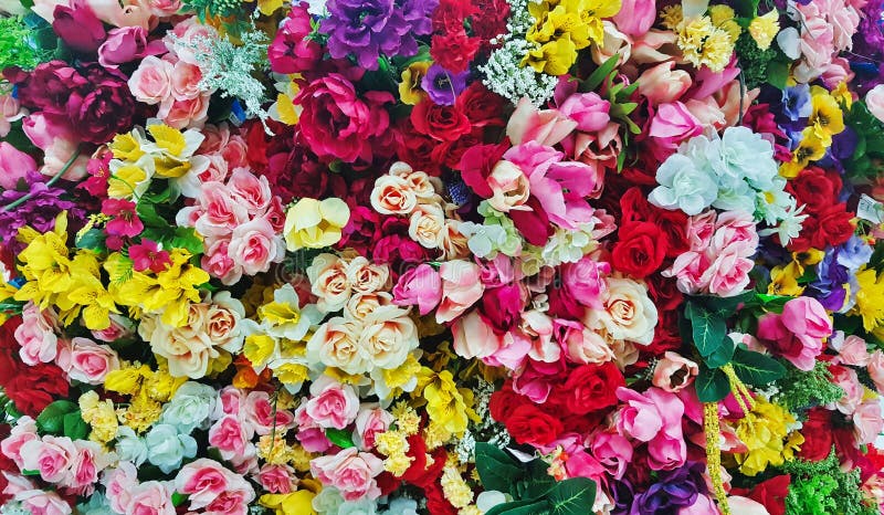 Wall of Assorted Spring Flowers in a Splash of Vibrant Colors, Full ...
