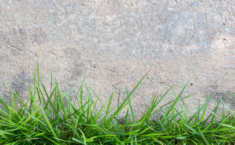 Wall Background on grass stock photo. Image of cement - 102625092
