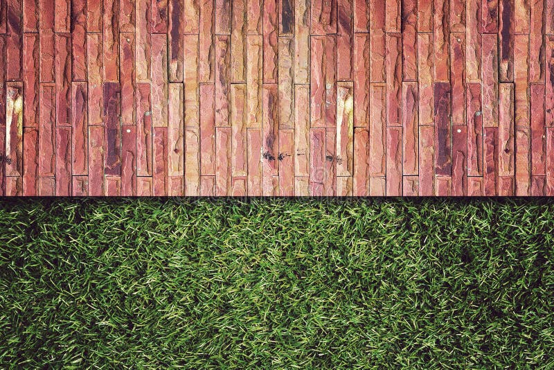 Wall Background on Green Grass Stock Photo - Image of healthy, green ...