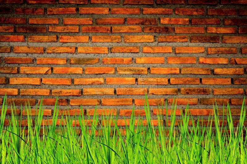 The Wall from Brick and Brick Background with Grass on Below, Red Brick ...