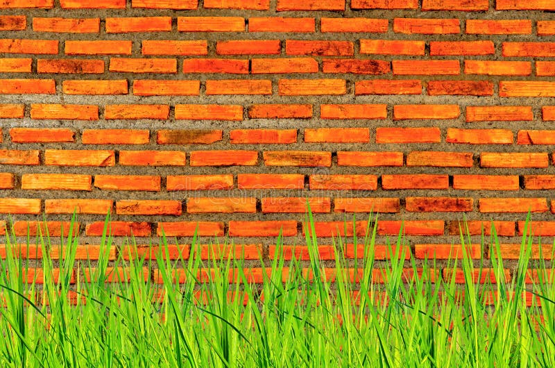 The Wall from Brick and Brick Background with Grass on Below, Red Brick ...