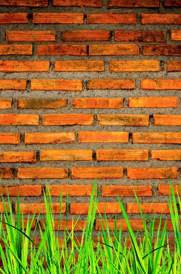 The Wall from Brick and Brick Background with Grass on Below Stock ...