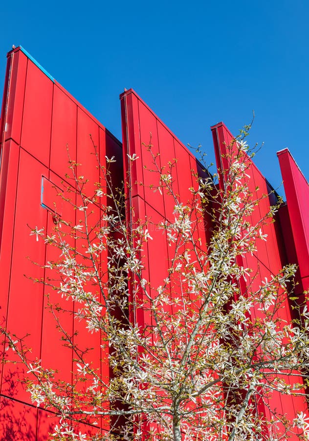 The Wall of the Building with Triangular Projections. Modern ...