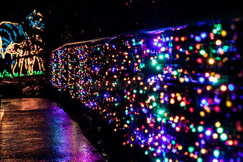Wall of Christmas Lights during Zoo Lights at Portland Zoo Stock Image ...