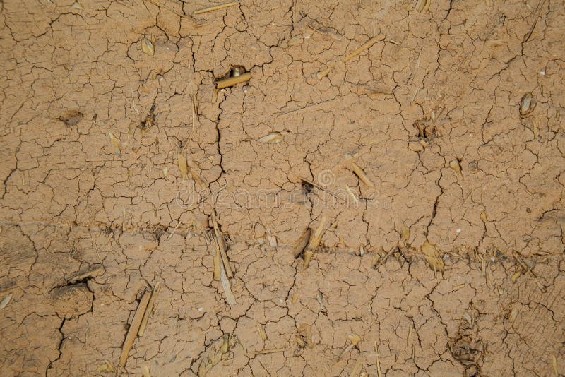 A Wall of Clay with the Addition of Hay, Background and Texture Stock ...