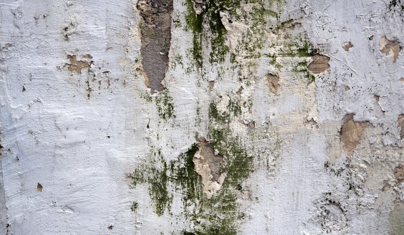 Wall with come off paint stock image. Image of damaged - 94776083