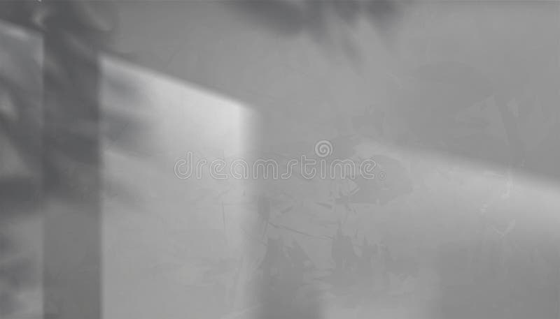 Light Grey Drop Shadow Stock Illustrations – 827 Light Grey Drop Shadow ...