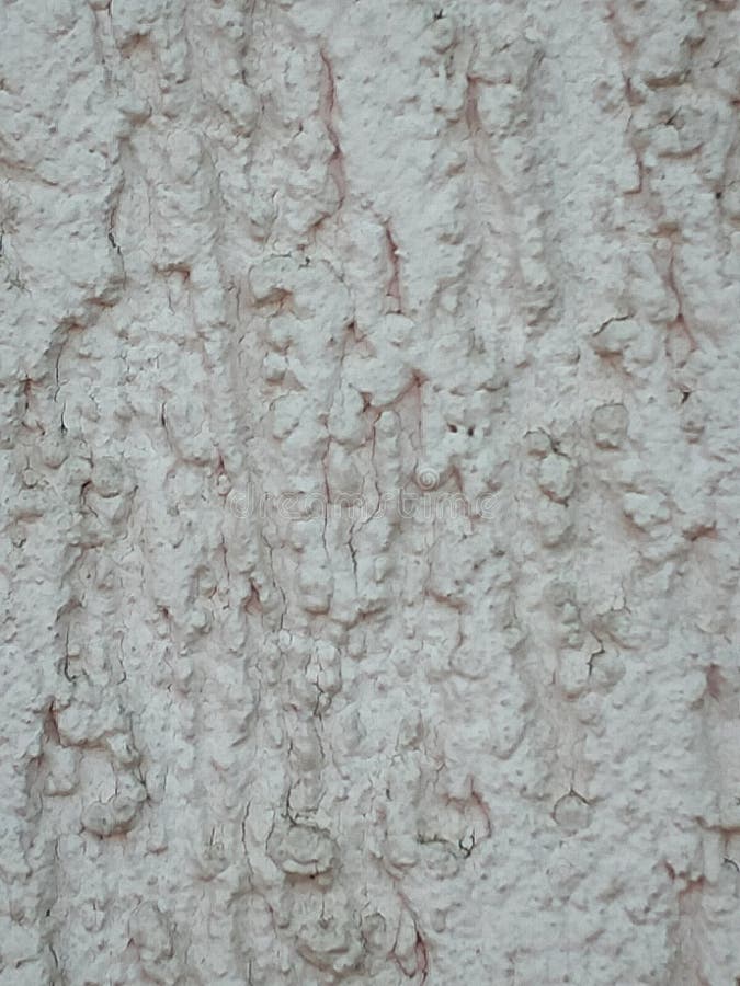 Wall Covered with Decorative Plaster and Structural Beige Pastel Paint ...