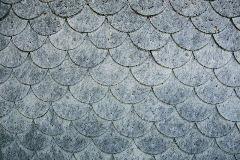 499 Wall Scaly Texture Stock Photos - Free & Royalty-Free Stock Photos ...