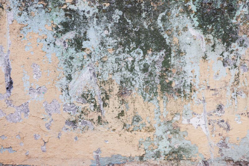 Close-up Texture of Damaged Moldy Wall. Stock Image - Image of damaged ...