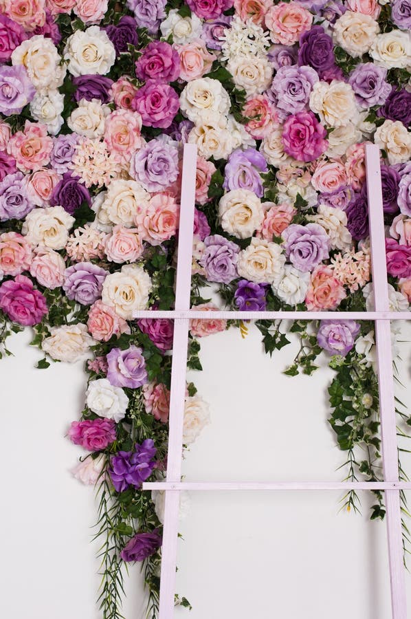 Wall decorated with roses stock photo. Image of flower - 83958930