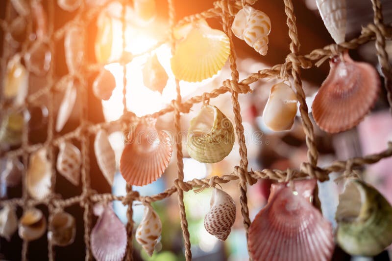 Wall Decorated with Scallop Shells in a Row Stock Photo - Image of ...