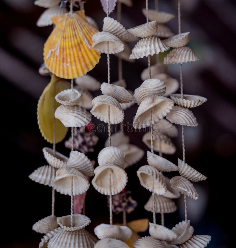 Wall Decorated with Scallop Shells in a Row Stock Image - Image of ...