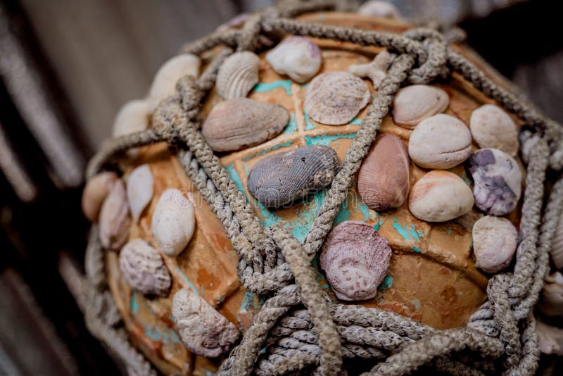 Wall Decorated with Scallop Shells in a Row Stock Photo - Image of ...