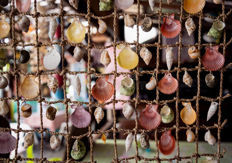 Wall Decorated with Scallop Shells in a Row Stock Image - Image of ...