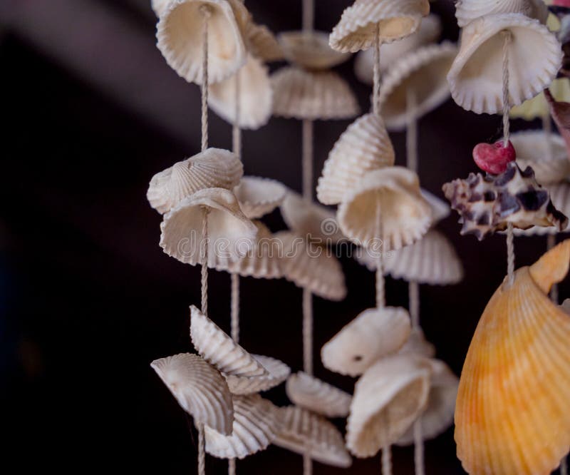 Wall Decorated with Scallop Shells in a Row Stock Photo - Image of ...