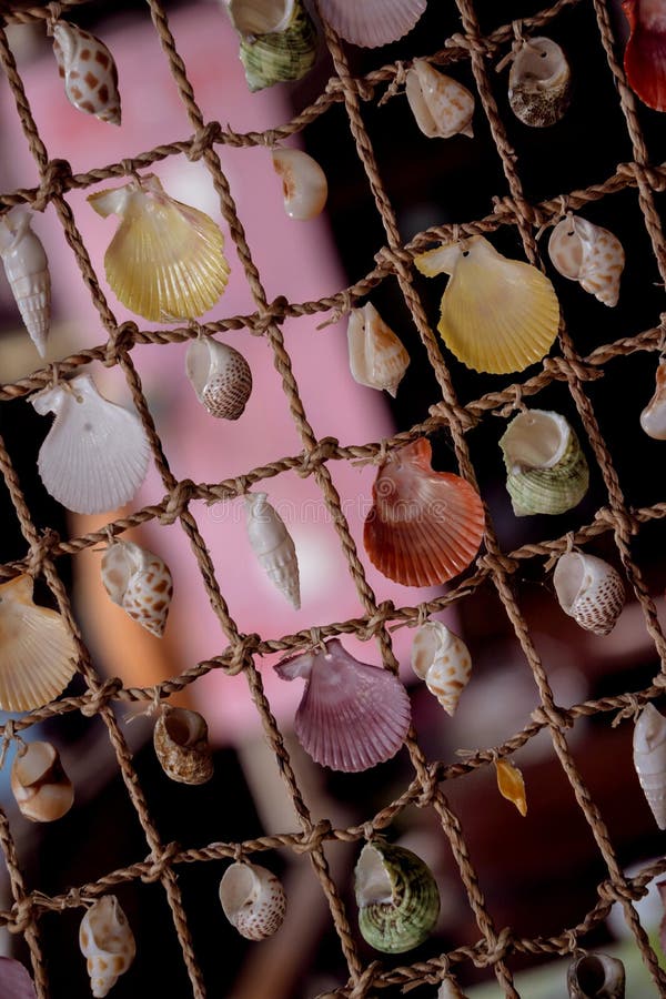Wall Decorated with Scallop Shells in a Row Stock Photo - Image of ...