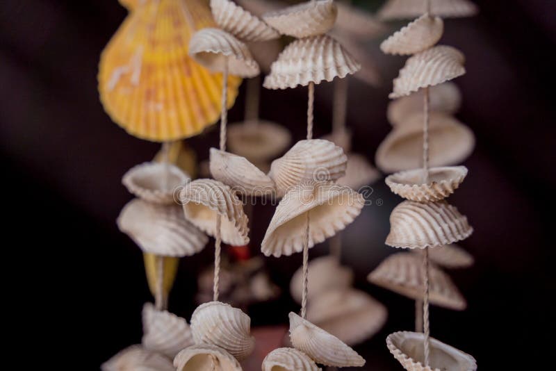 Wall Decorated with Scallop Shells in a Row Stock Photo - Image of ...